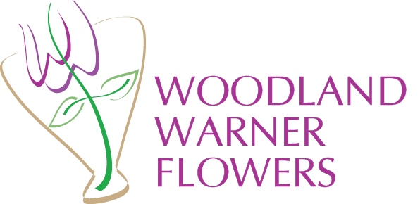 Woodland Warner Flowers – Hunaid Baliwala – EASFV